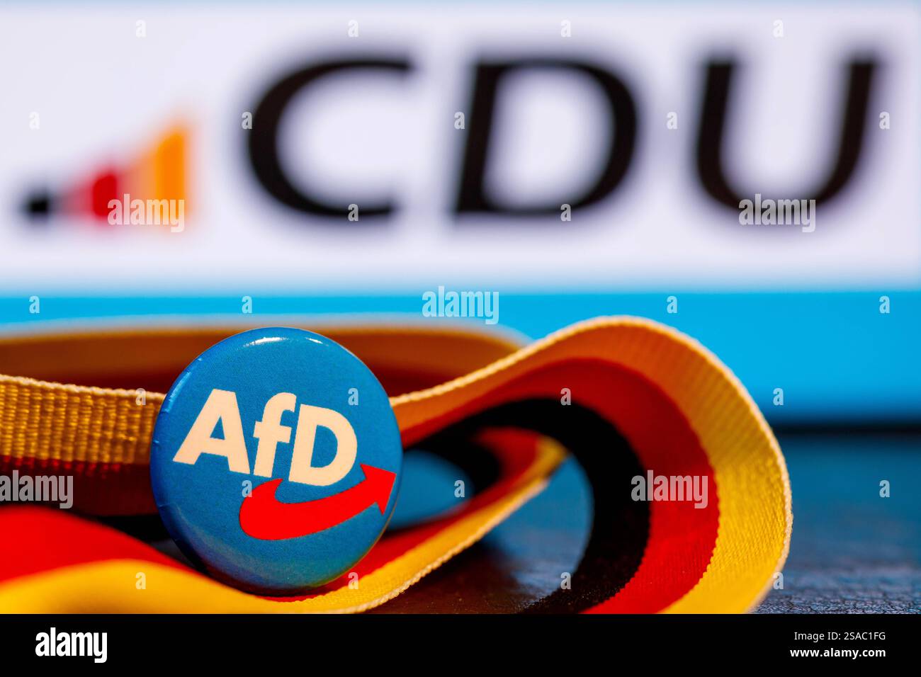 Symbolfoto AFD DEU/Deutschland/Illustration, 29.01.2025, Symbolfoto AFD ...