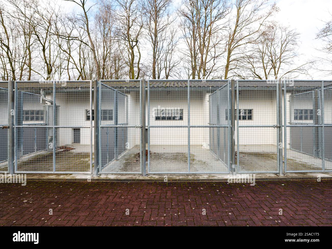 29.01.2025, Deutschland, auf dem Foto eine Hundezwinger-Anlage einer ...