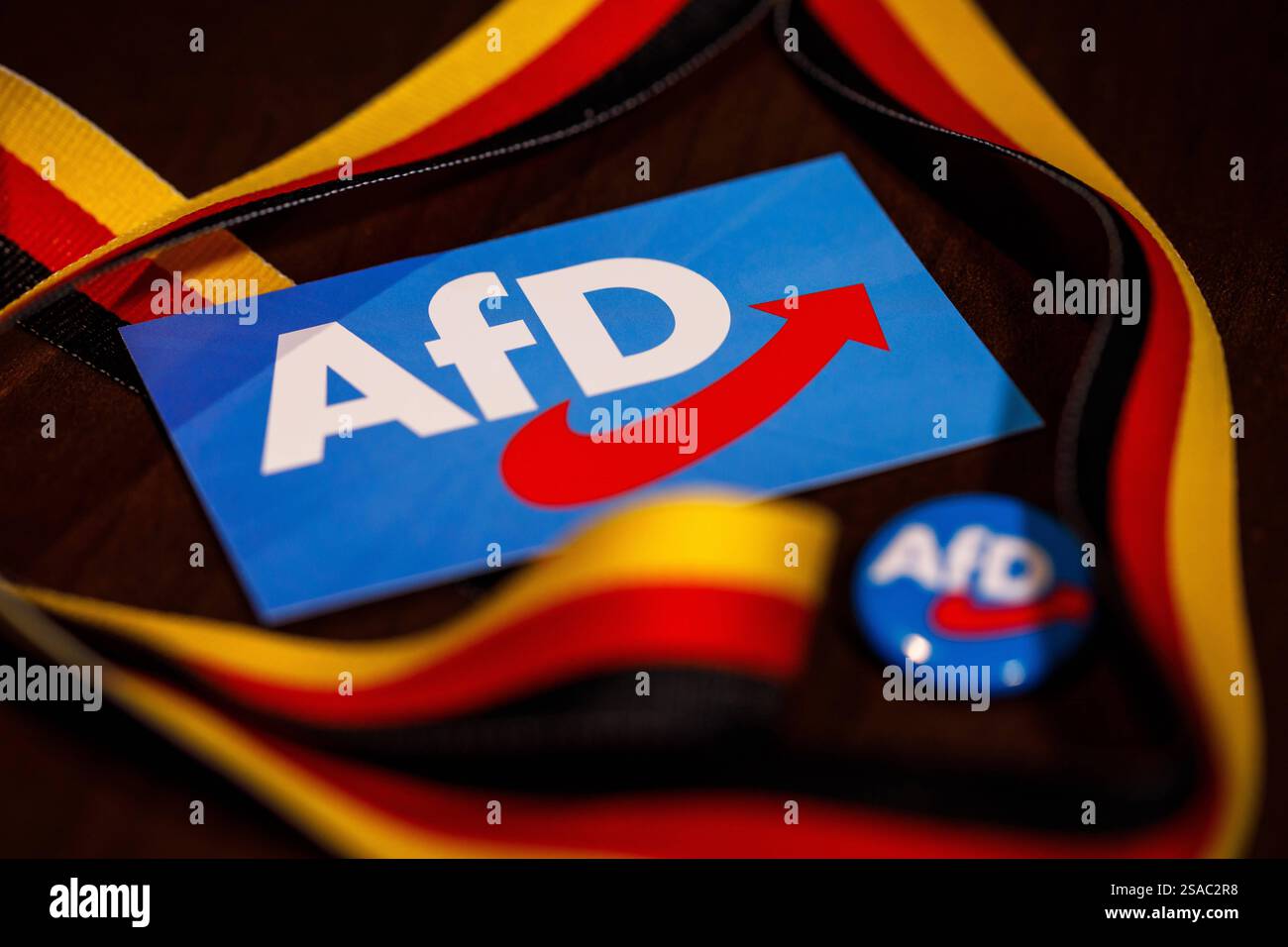 Symbolfoto AFD DEU/Deutschland/Illustration, 29.01.2025, Symbolfoto AFD ...