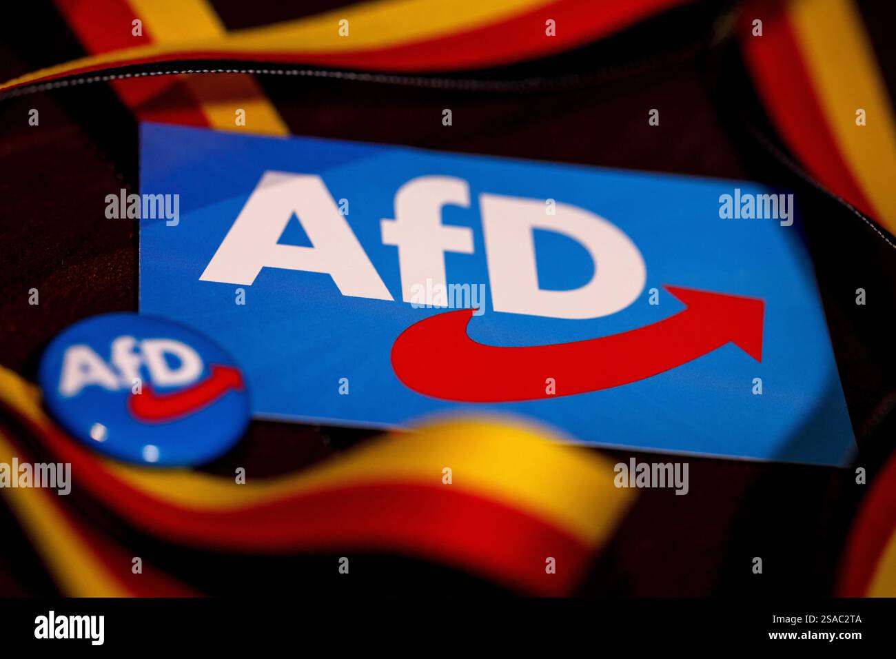 Symbolfoto AFD DEU/Deutschland/Illustration, 29.01.2025, Symbolfoto AFD ...