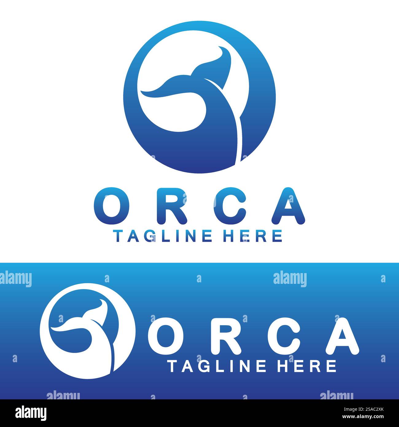 Killer whale Orca logo design vector illustration Stock Vector Image ...