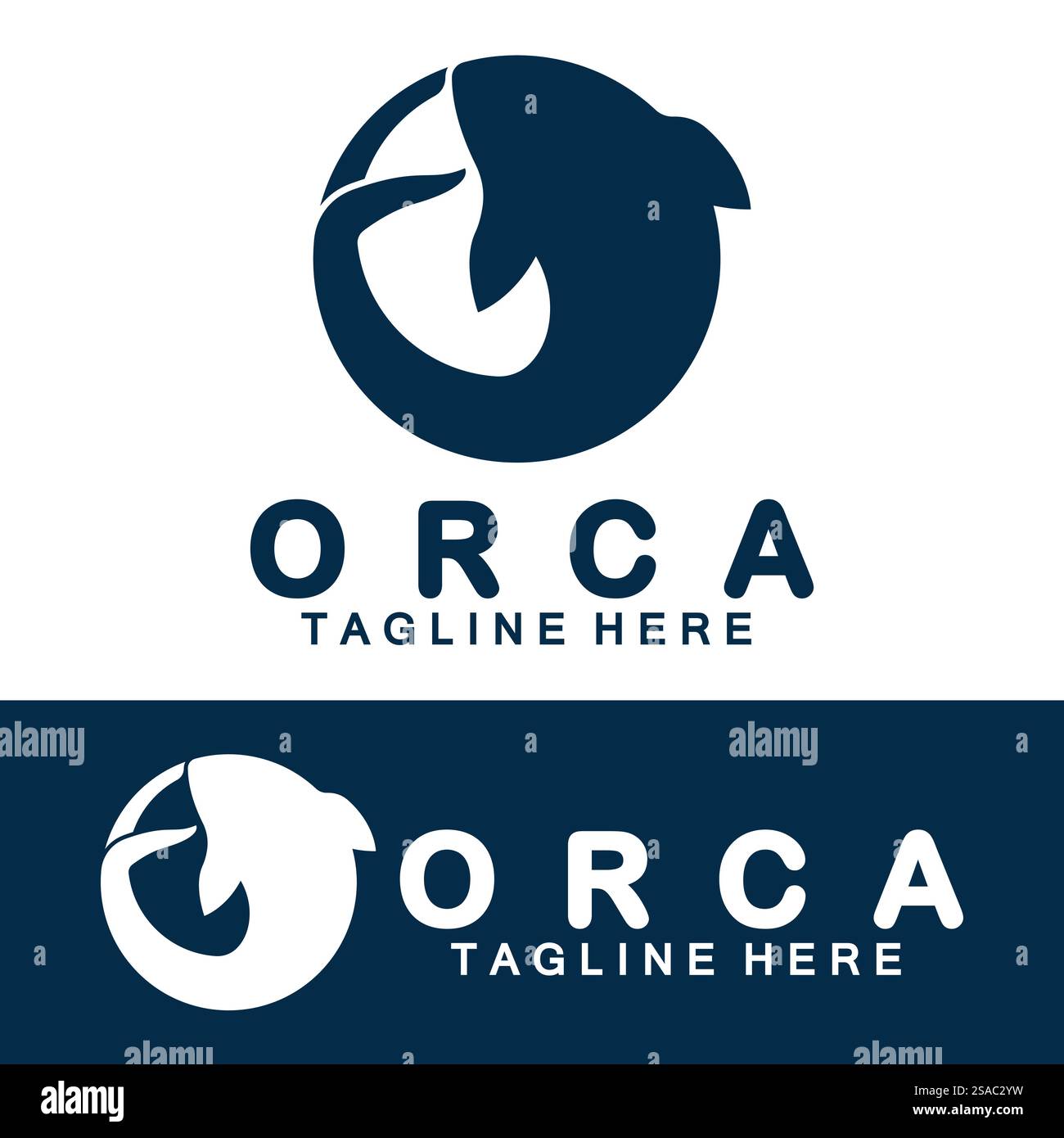 Killer whale Orca logo design vector illustration Stock Vector Image ...