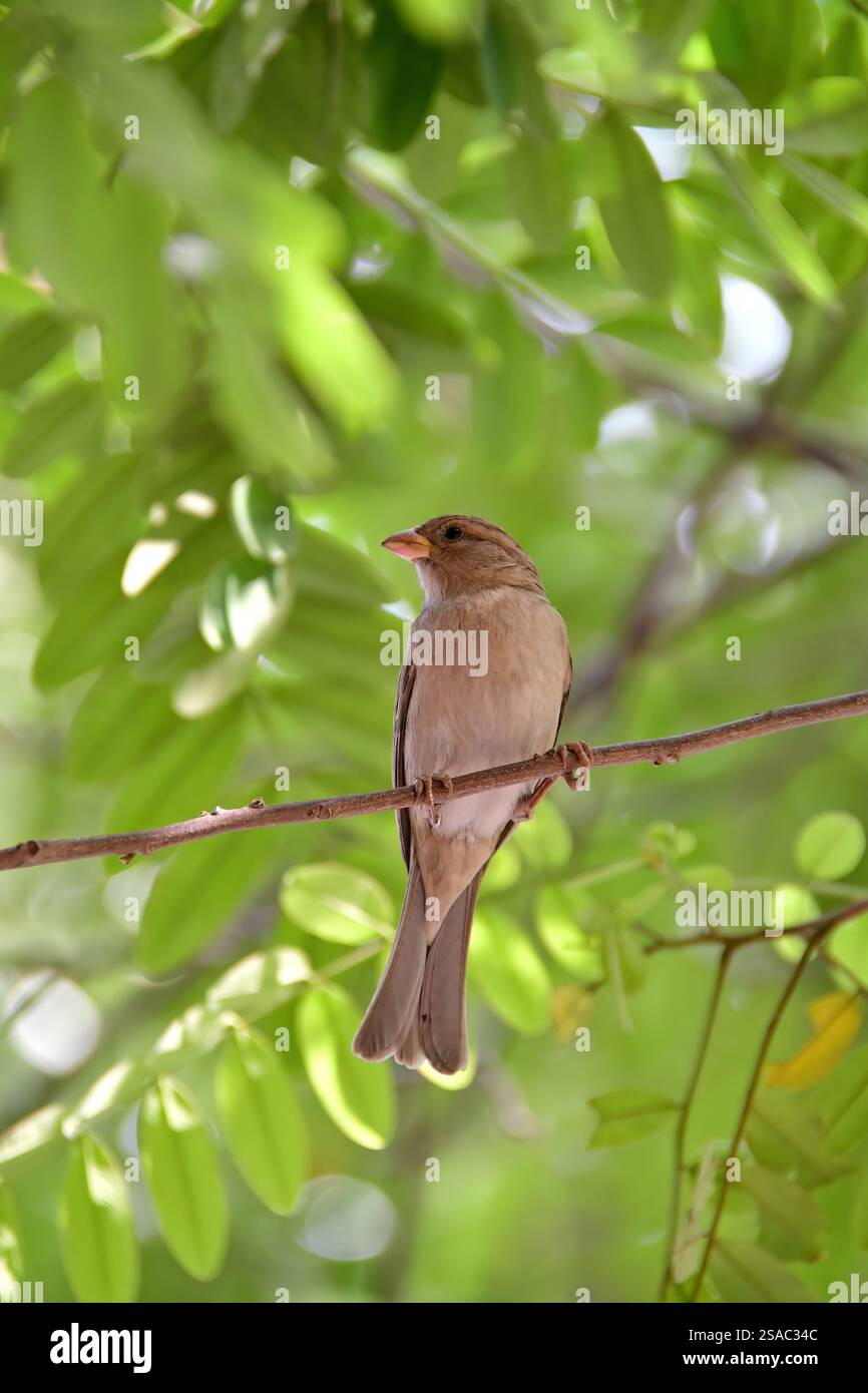 Lon 75 82771400 hi-res stock photography and images - Alamy