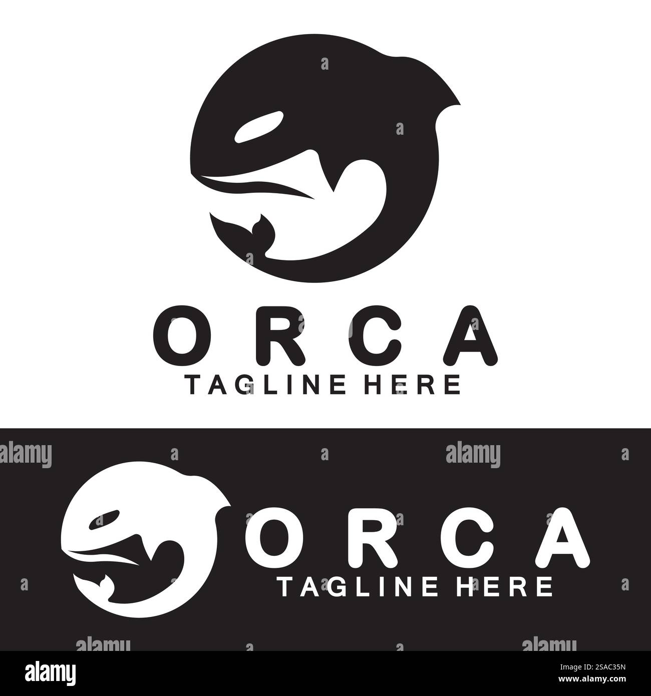 Killer whale Orca logo design vector illustration Stock Vector Image ...