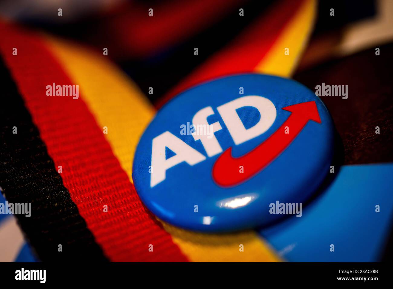 Symbolfoto AFD DEU/Deutschland/Illustration, 29.01.2025, Symbolfoto AFD ...