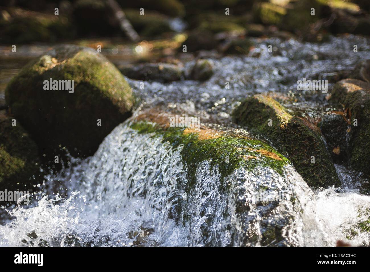 Waterfront details hi-res stock photography and images - Alamy