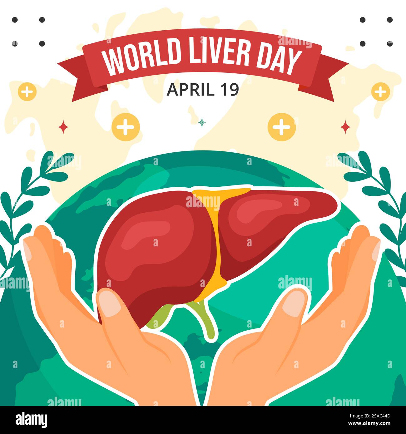 Doctor drawn liver on Stock Vector Images - Alamy