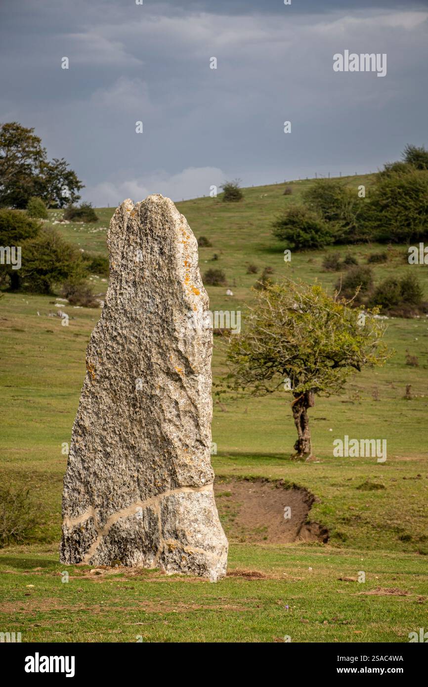 Akarte menhir, Legaire Megalithic Park, Campas de Legaire, Álava ...
