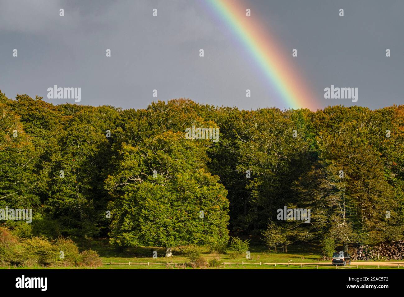 rainbow over the beech forest, Megalithic Park of Legaire, Campas de ...