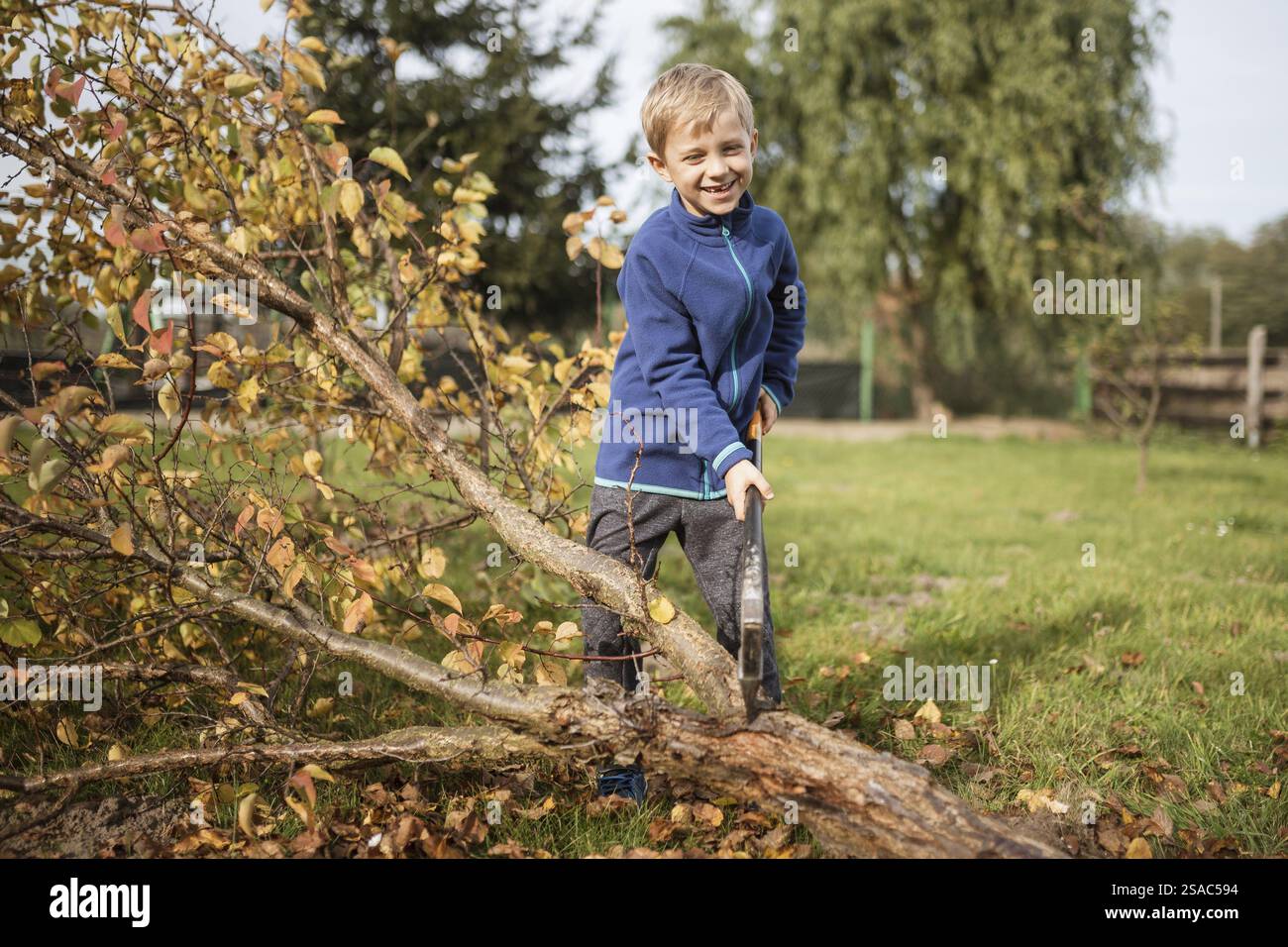 Seven year old smiling boy chopping a tree with an ax in the garden ...