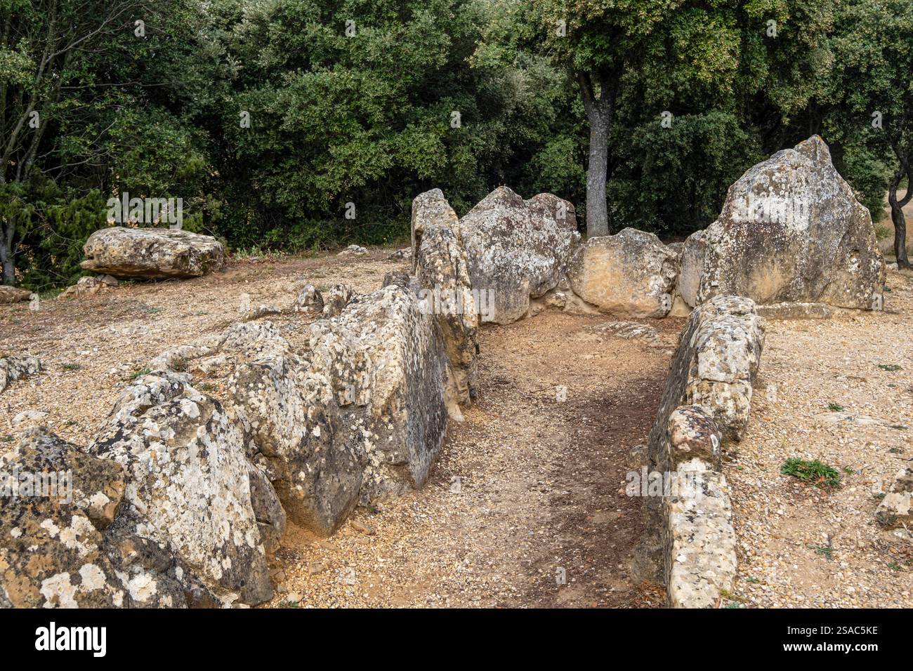 Dolmen de Los Llanos, Neolithic, Kripan, Alava, Basque Country, Spain ...