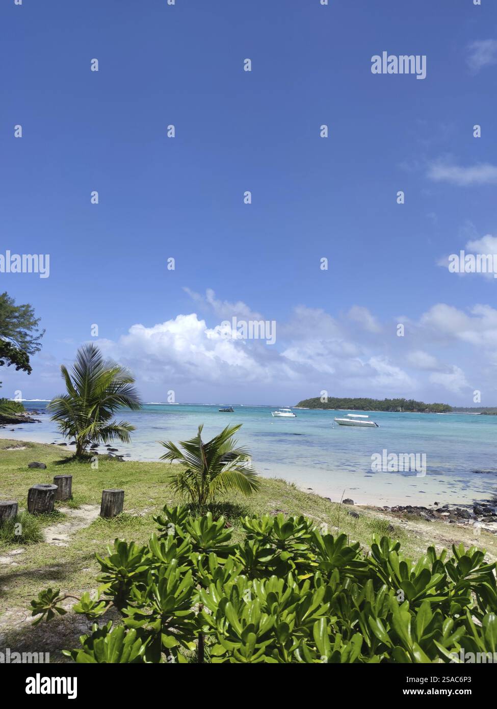 Landscape in green and blue, Mauritius, Africa Stock Photo - Alamy
