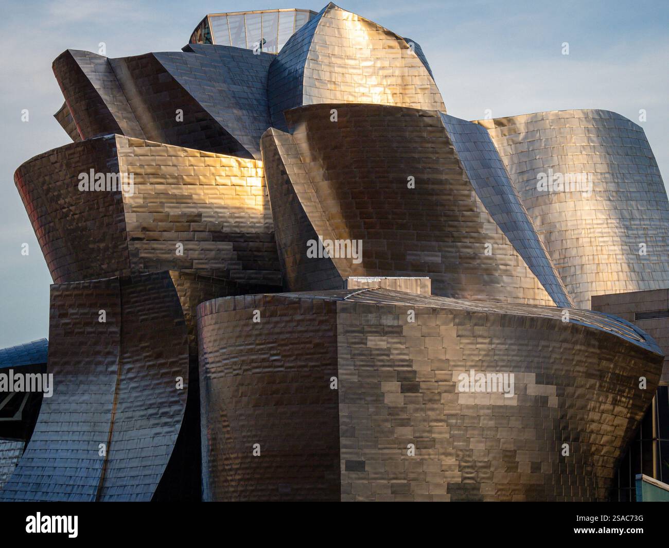 Exterior curved walls, Guggenheim Museum Bilbao, 20th century, designed ...