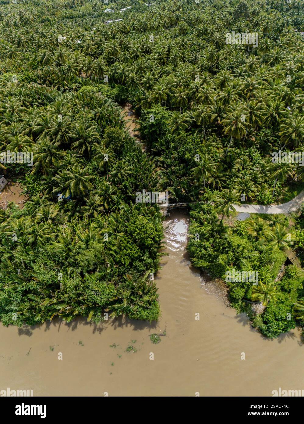 Aerial view of Vietnamese forest on the Mekong Delta, waterway ...