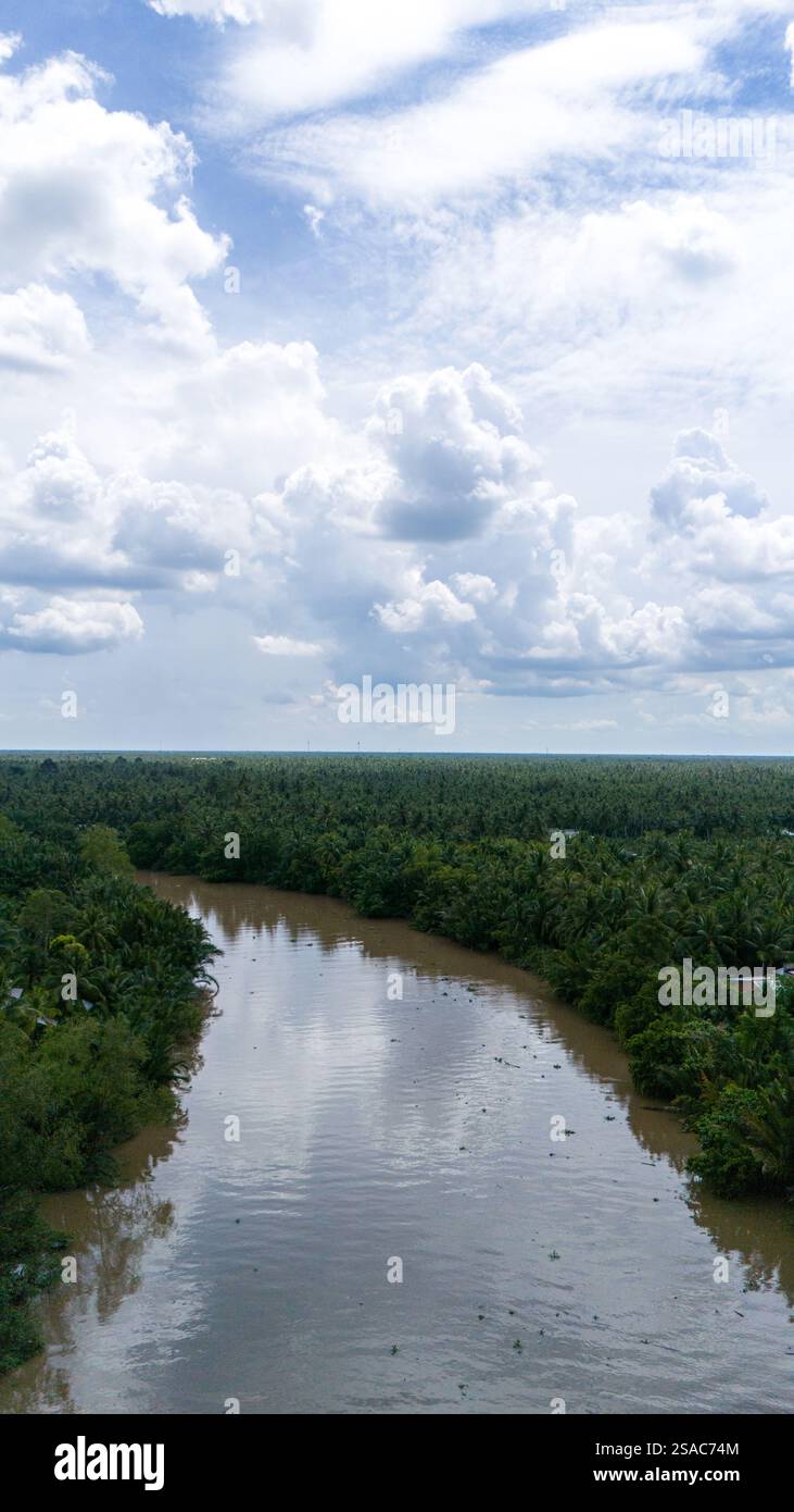 Aerial view of Vietnamese forest on the Mekong Delta, waterway ...