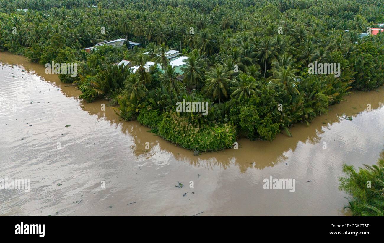 Aerial view of Vietnamese forest on the Mekong Delta, waterway ...