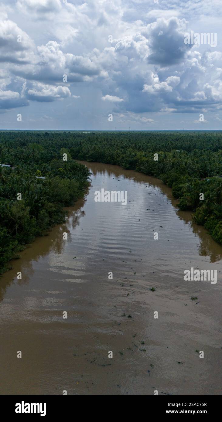 Aerial view of Vietnamese forest on the Mekong Delta, waterway ...