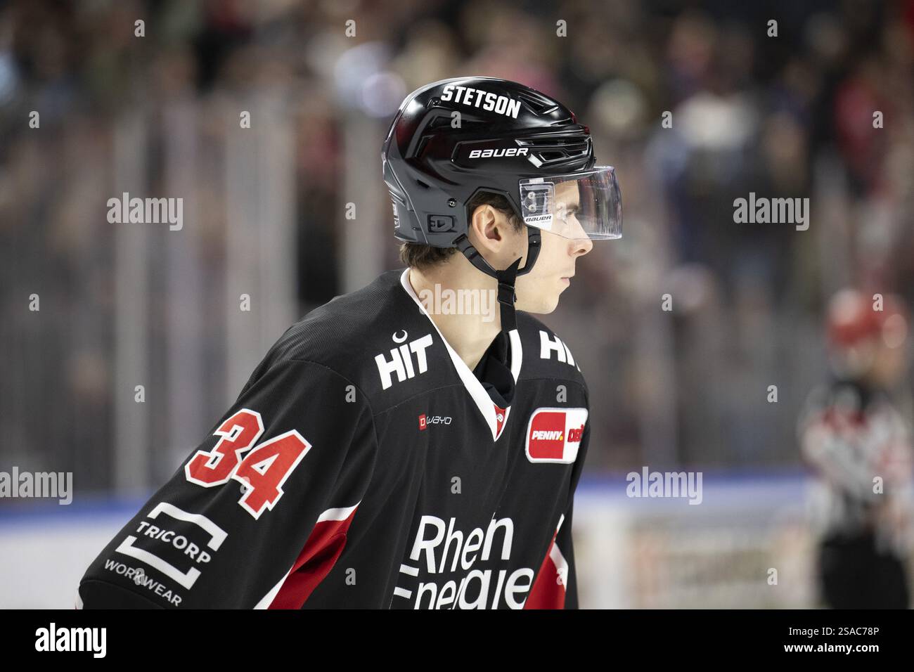 LanxessArena, Cologne, North Rhine-Westphalia, Elias Lindner (Cologne ...