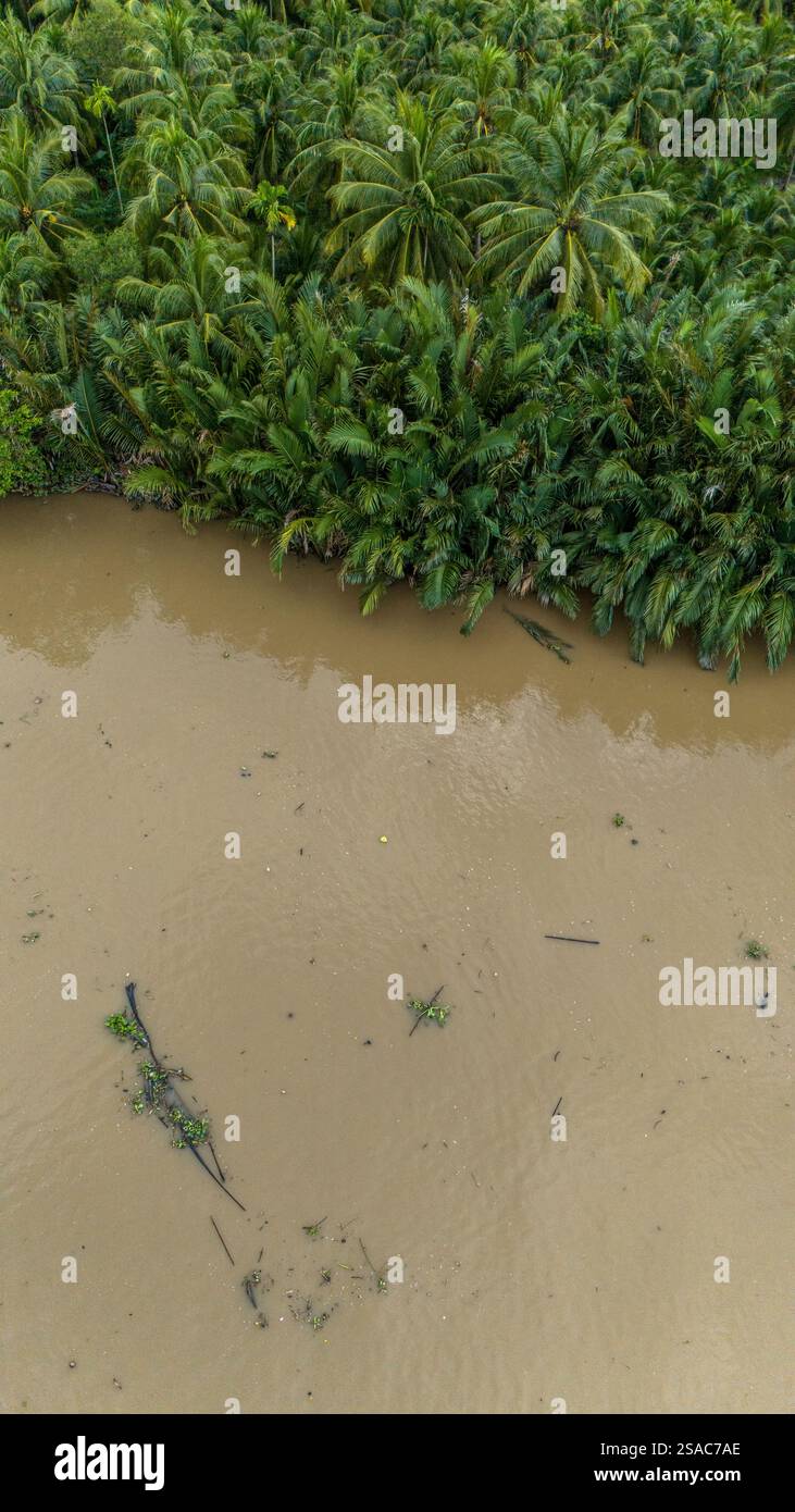 Aerial view of Vietnamese forest on the Mekong Delta, waterway ...