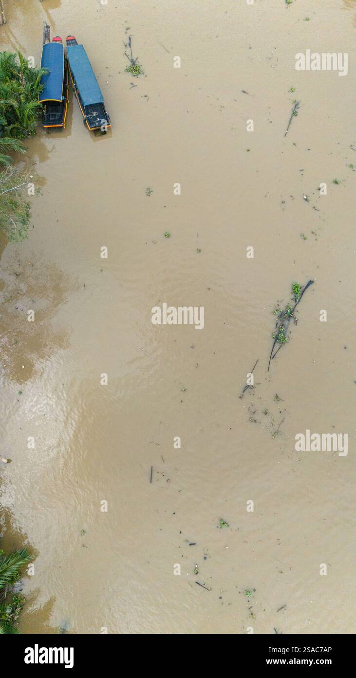 Aerial view of Vietnamese forest on the Mekong Delta, waterway ...