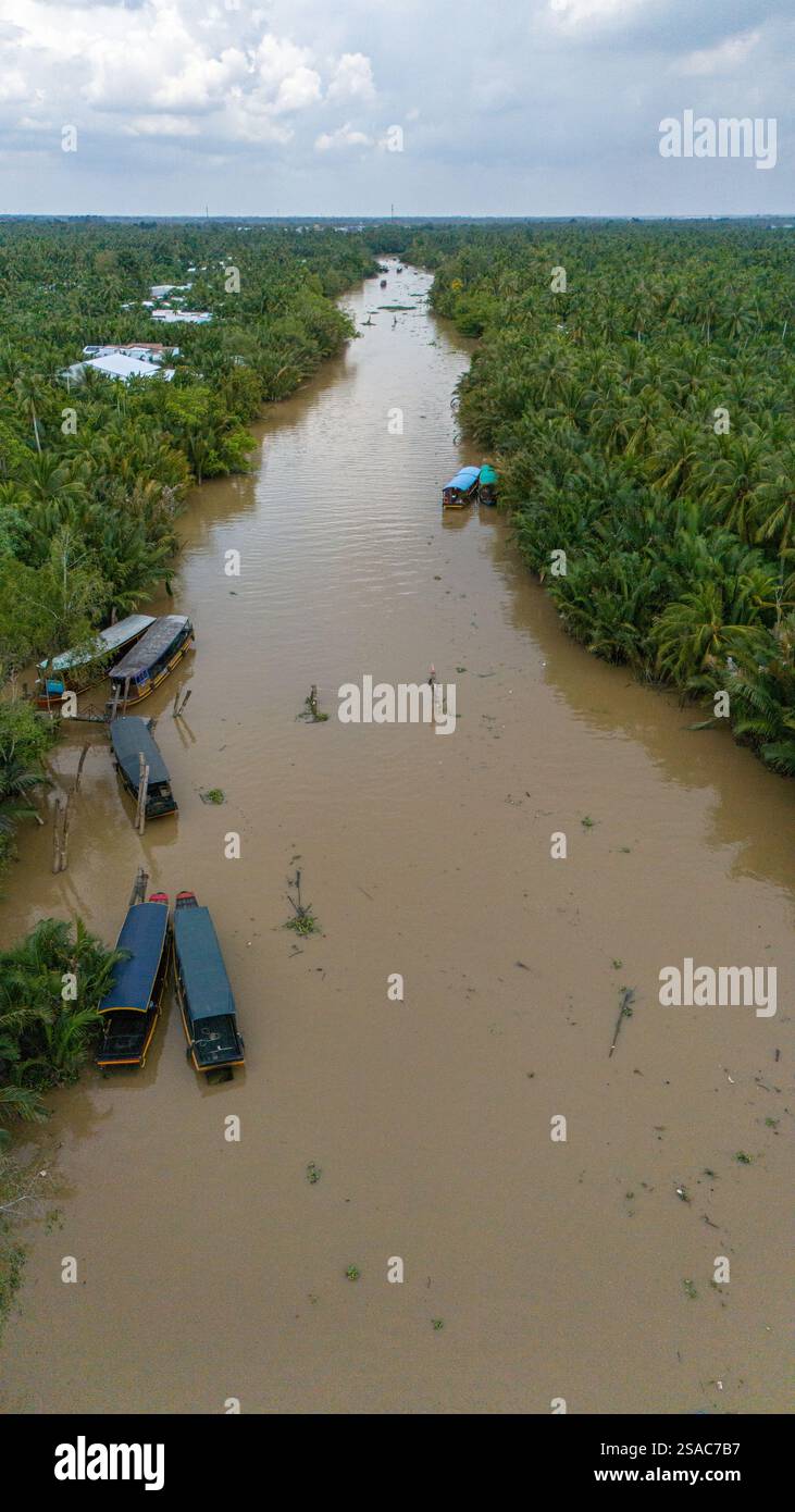 Aerial view of Vietnamese forest on the Mekong Delta, waterway ...