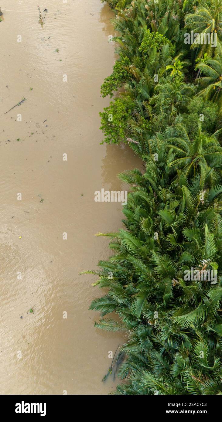 Aerial view of Vietnamese forest on the Mekong Delta, waterway ...