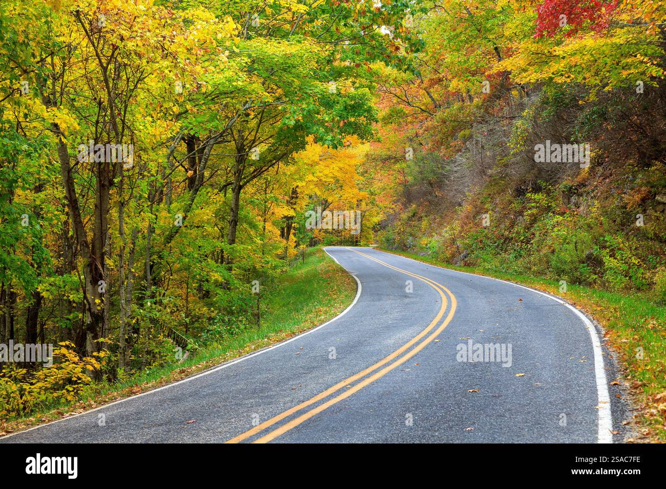 Part of the Cherohala Skyway, TN, (Cherokee Nantahala) in the fall ...