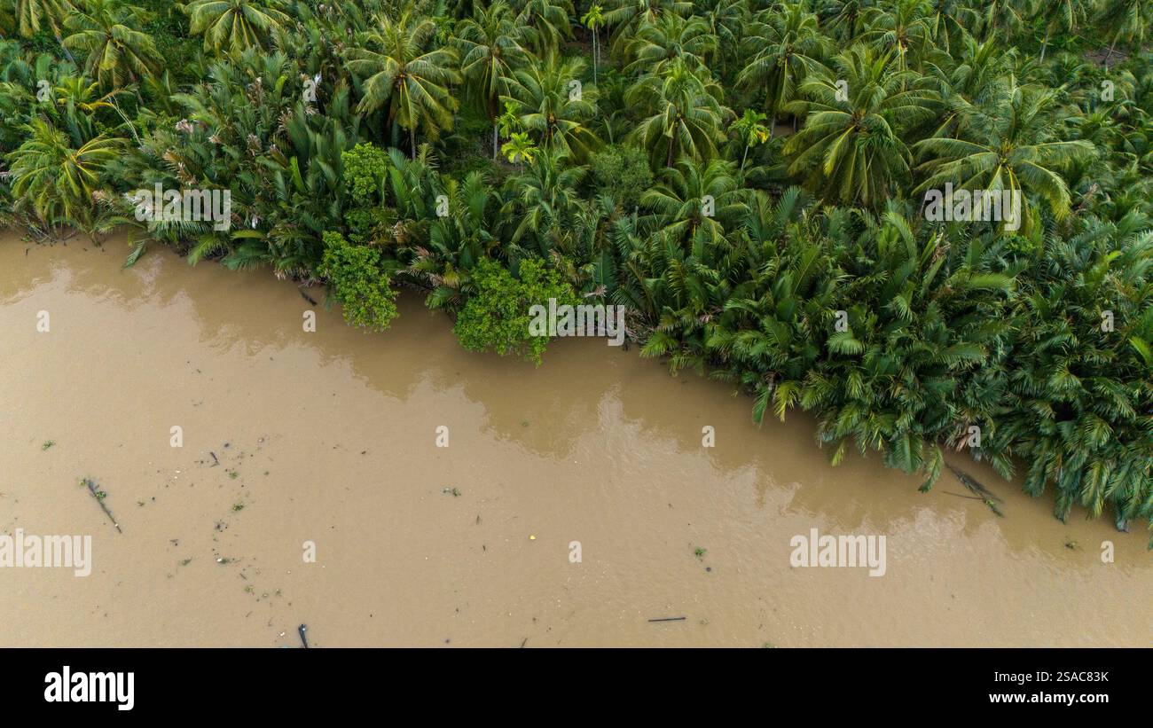 Aerial view of Vietnamese forest on the Mekong Delta, waterway ...