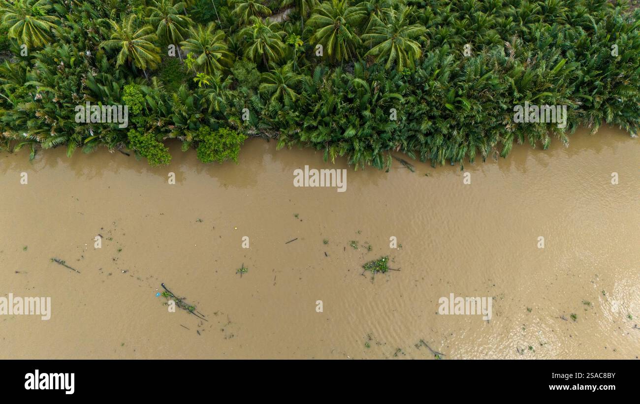 Aerial view of Vietnamese forest on the Mekong Delta, waterway ...