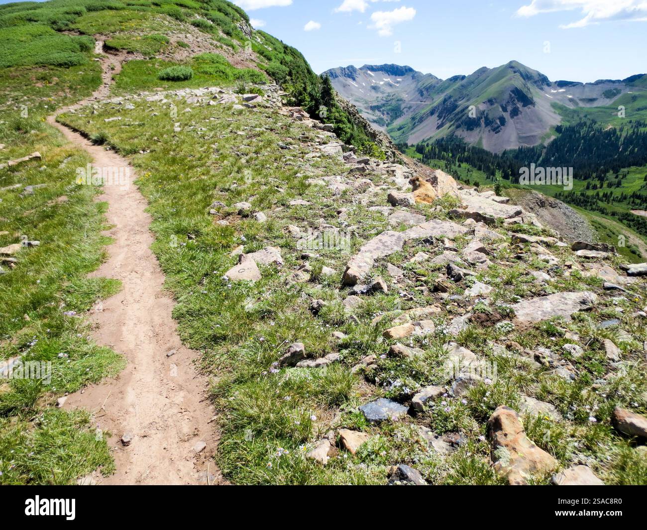 High elevation portion of the Colorado trail Stock Photo - Alamy