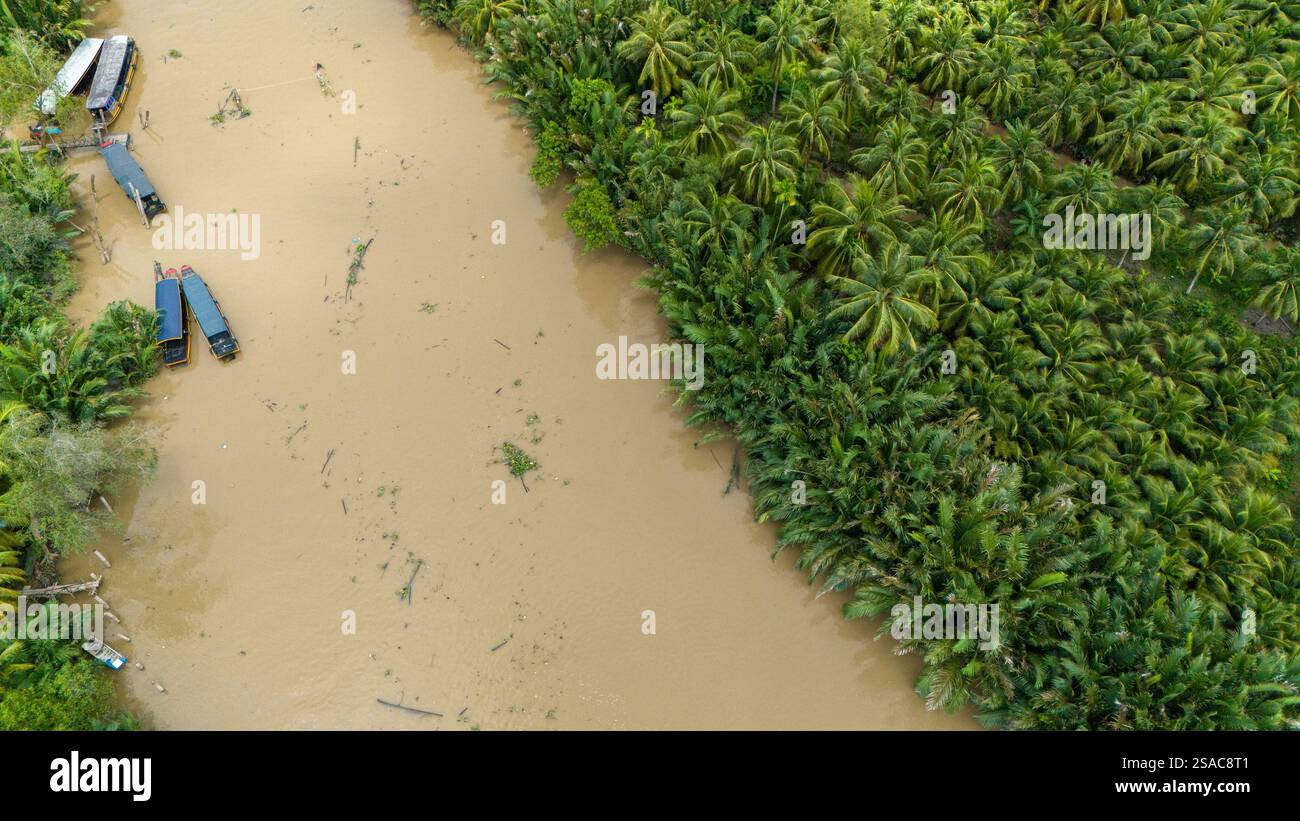 Aerial view of Vietnamese forest on the Mekong Delta, waterway ...