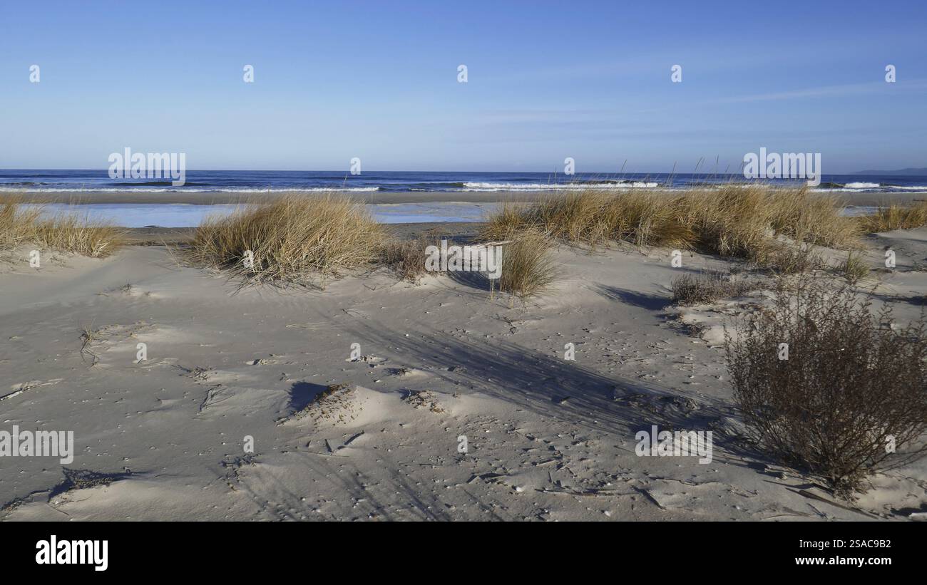 Baltic Sea natural beach. Natura 2000, Swinoujscie East Beach Stock ...