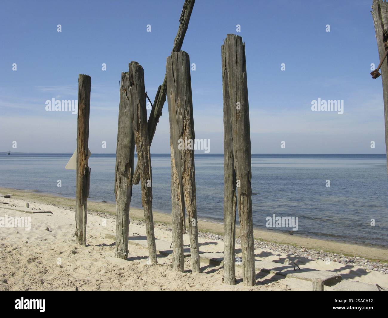 Old wooden piles on the beach Stock Photo - Alamy