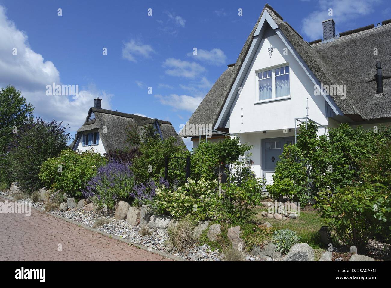 Thatched roof houses in the summer landscape Stock Photo - Alamy