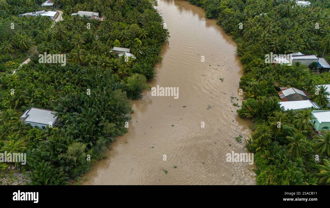Aerial view of Vietnamese forest on the Mekong Delta, waterway ...