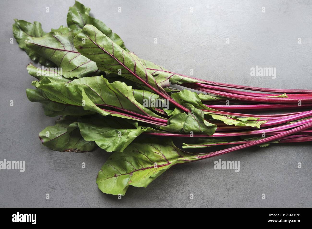Young beetroot leaves Stock Photo - Alamy