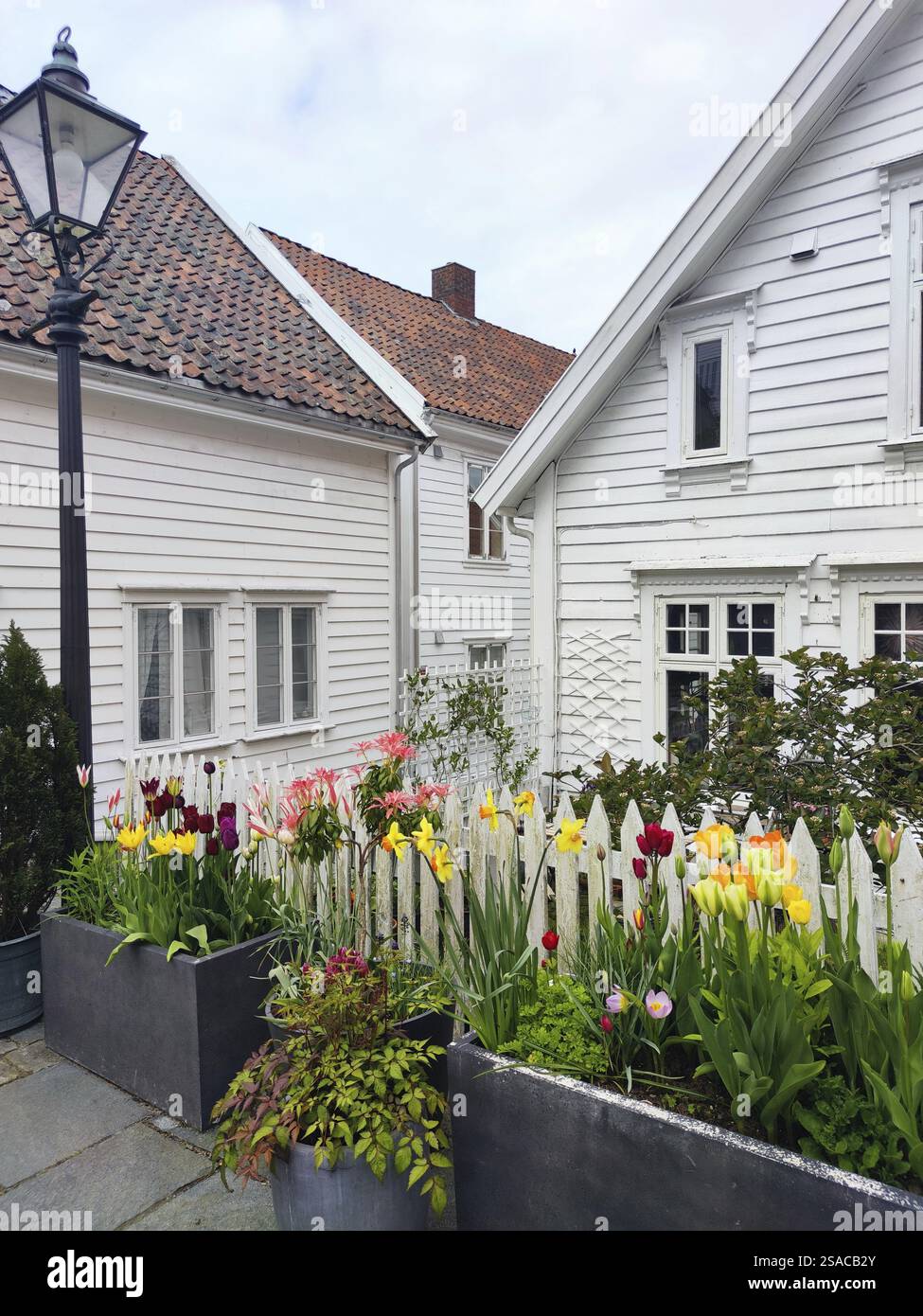 Spring in norway first hi-res stock photography and images - Alamy