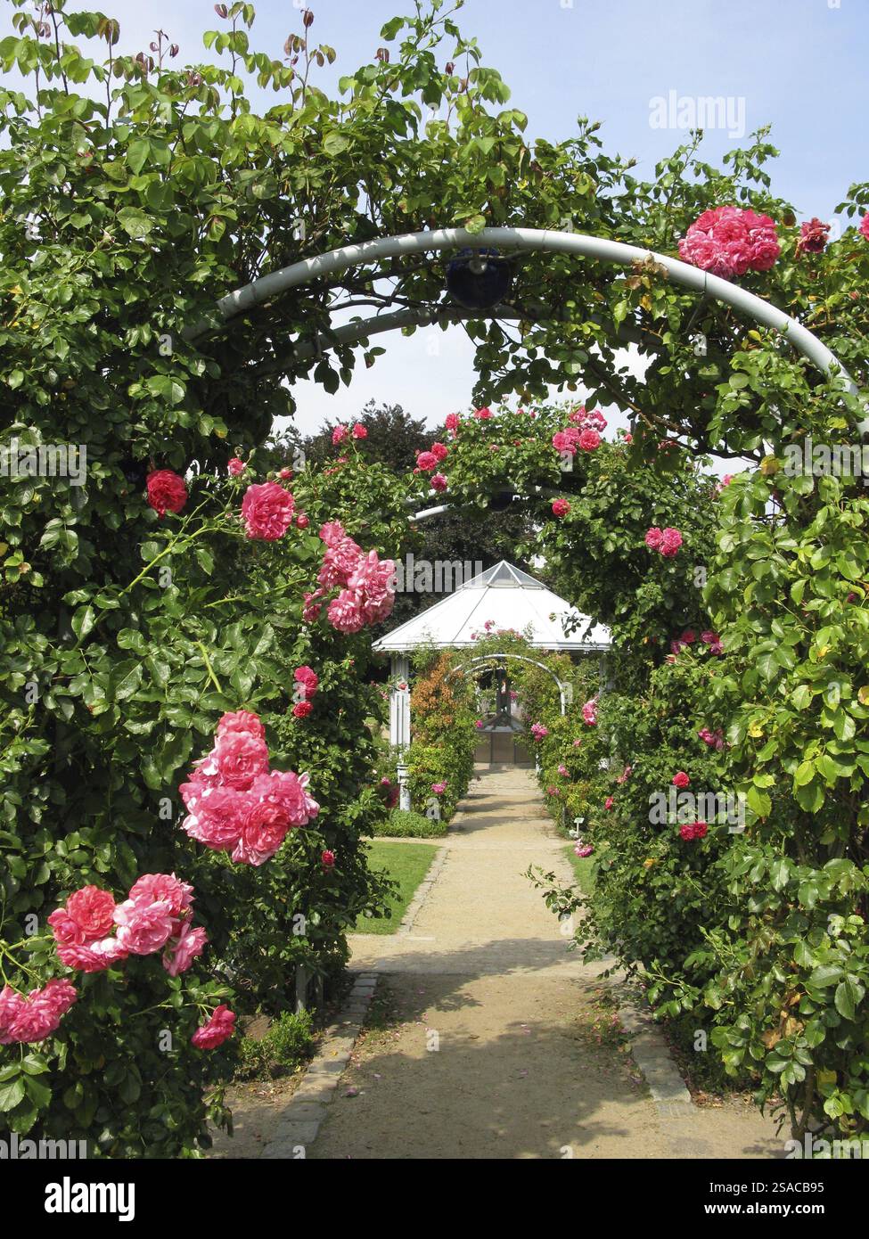 Rose arch in Planten un Blomen Stock Photo - Alamy
