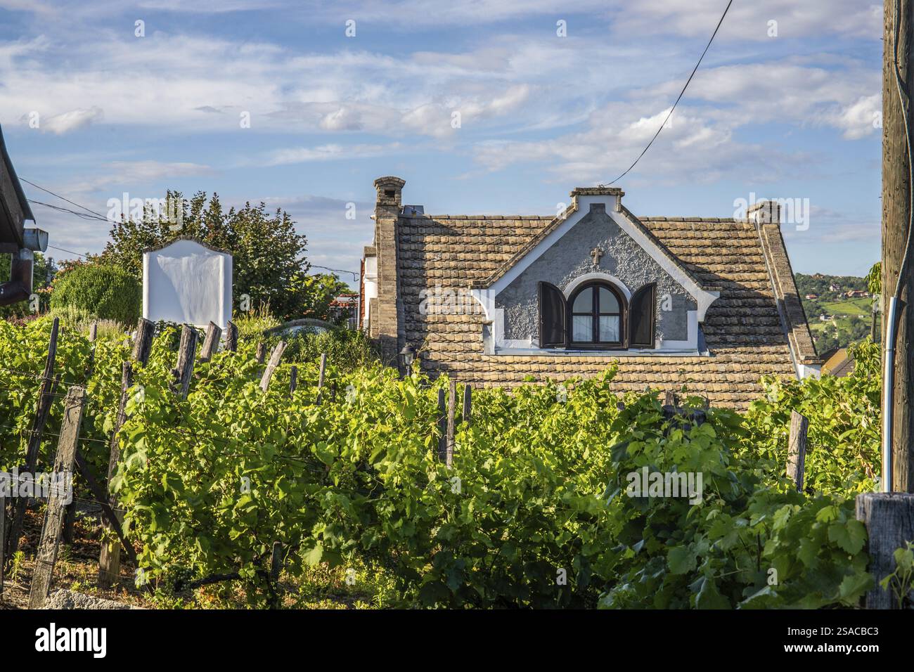 A winery with a blue sky, restaurant and bar in the vineyards of Heviz ...