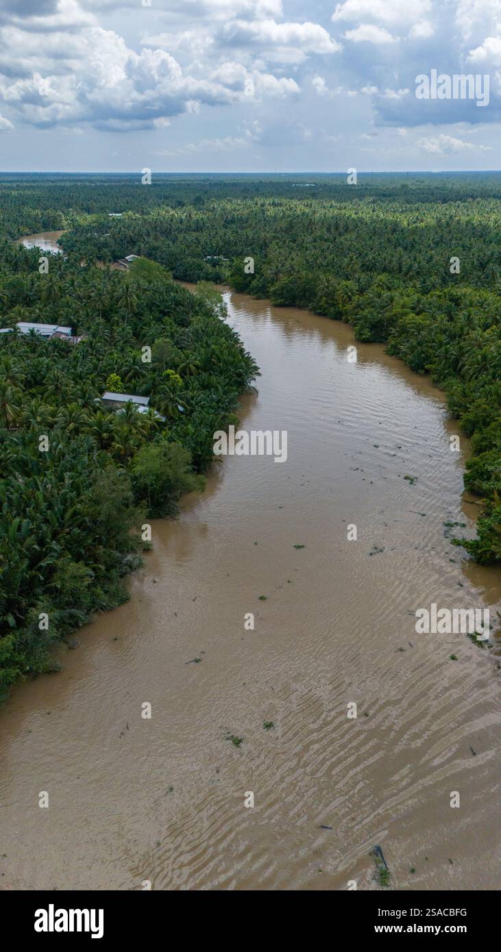 Aerial view of Vietnamese forest on the Mekong Delta, waterway ...