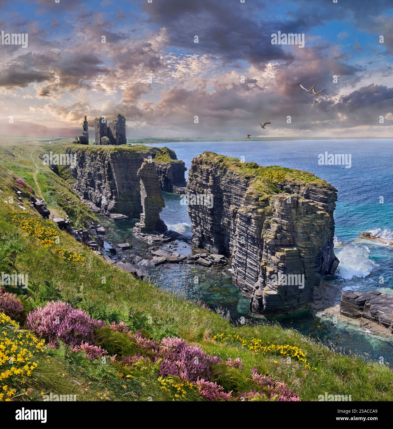 The dramatic, enigmatic medieval ruins of Castle Sinclair Girnigoe ...
