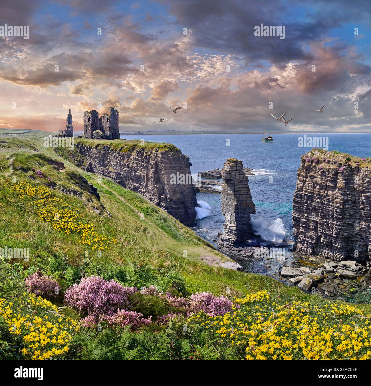 The dramatic, enigmatic medieval ruins of Castle Sinclair Girnigoe ...