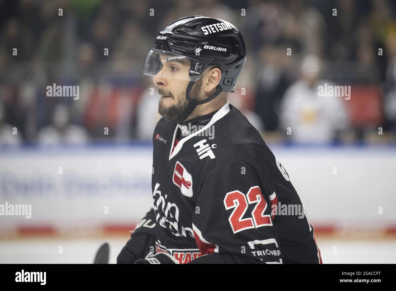 LanxessArena, Cologne, North Rhine-Westphalia, Maximilian Gloetzl ...