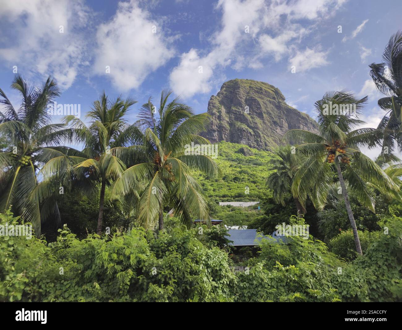 Mauritius south africa hi-res stock photography and images - Alamy