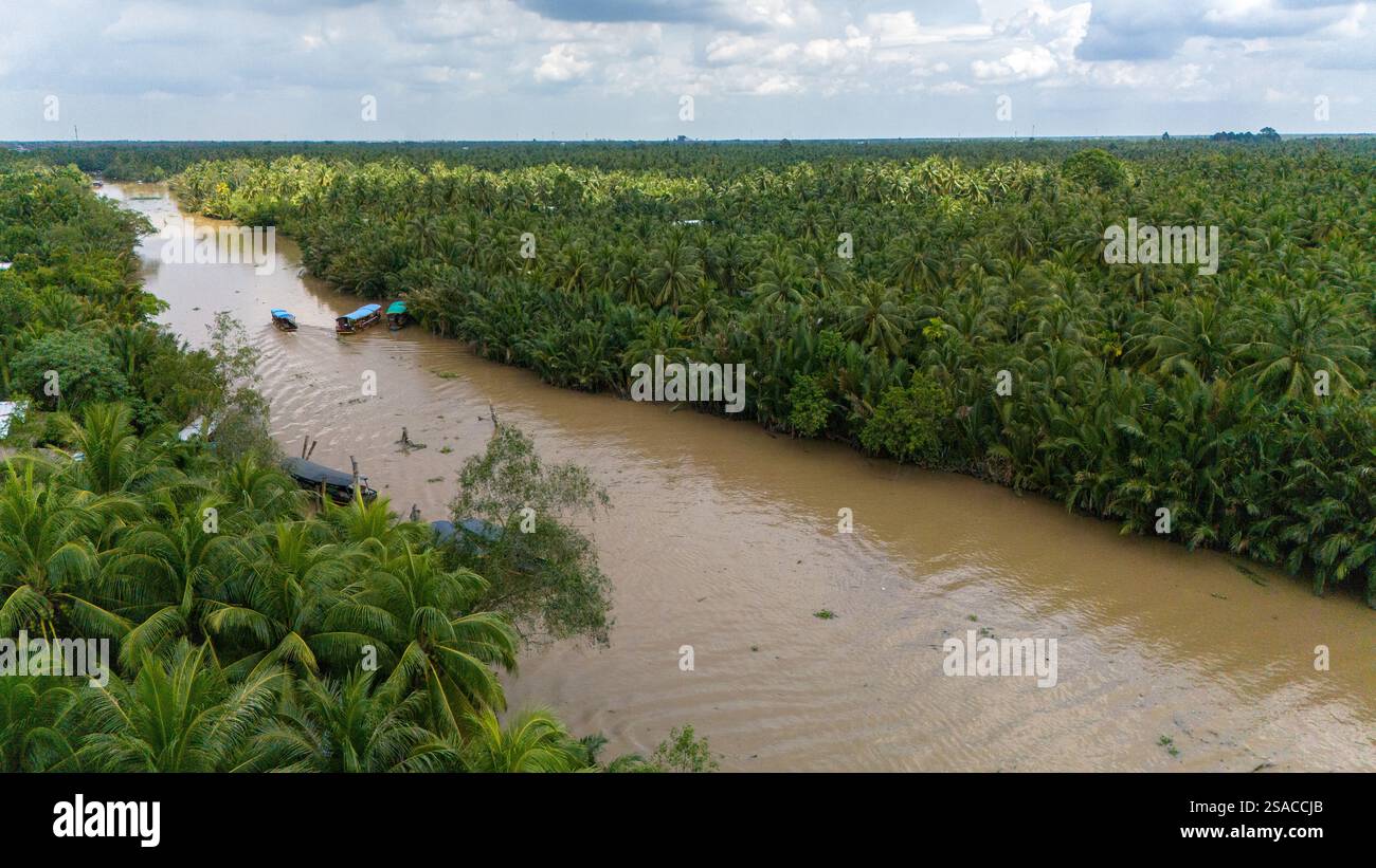 Aerial view of Vietnamese forest on the Mekong Delta, waterway ...