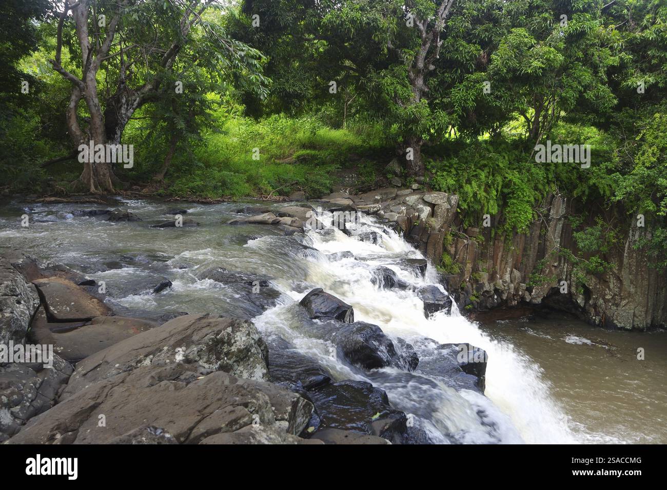 Rochester Falls, Mauritius, Africa Stock Photo - Alamy