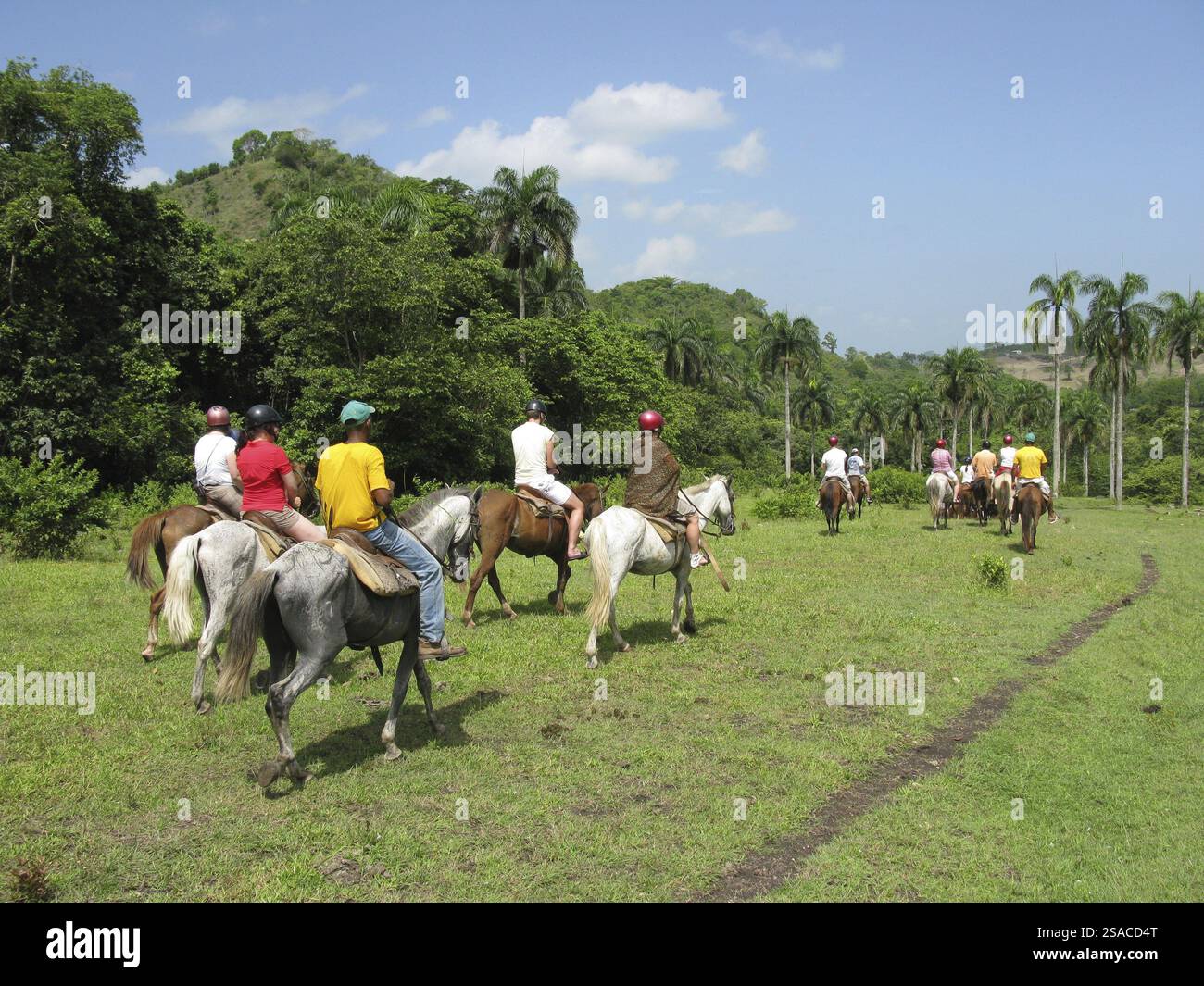 Horse riding excursion through a tropical landscape Stock Photo - Alamy