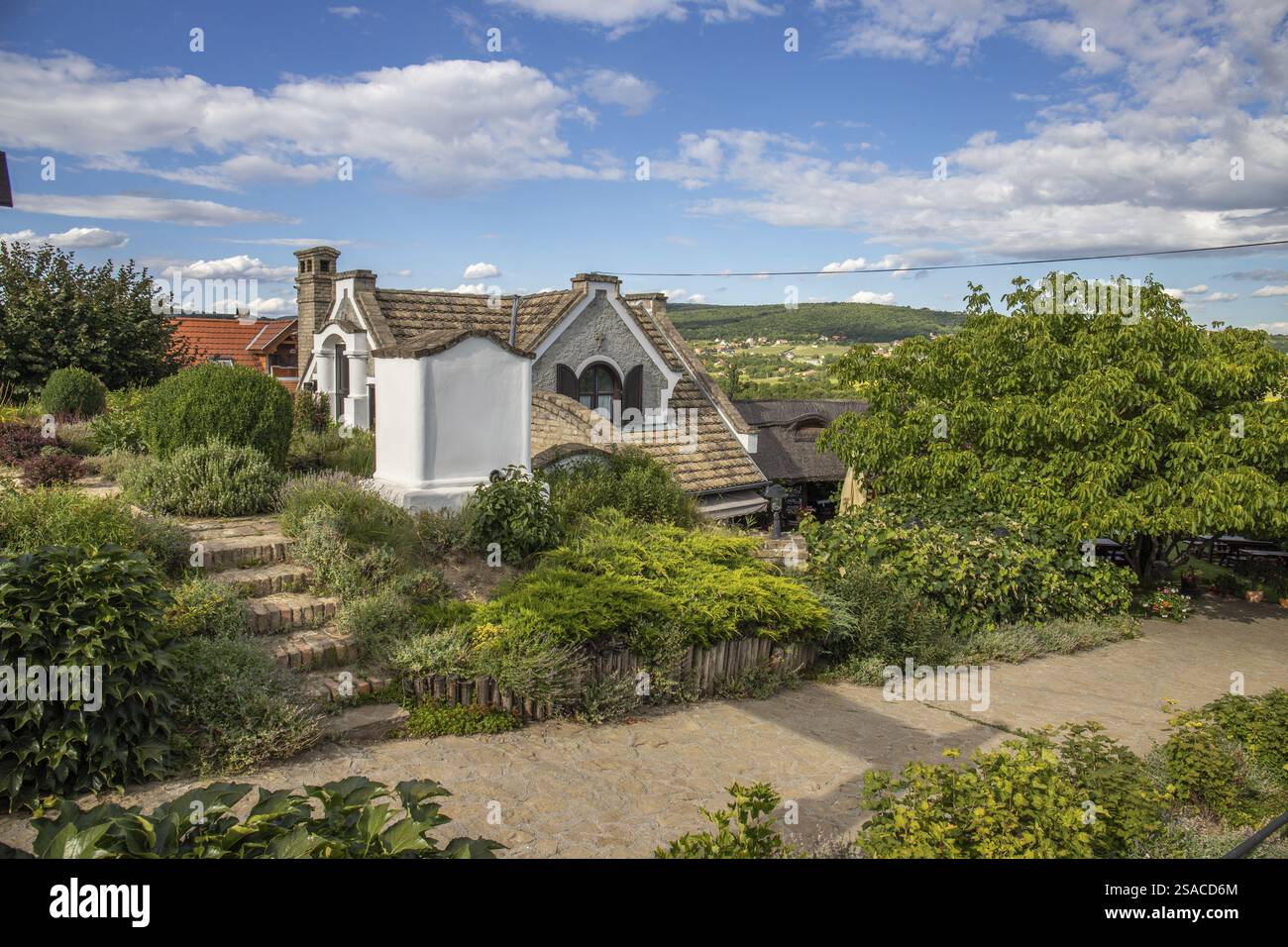 A winery with a blue sky, restaurant and bar in the vineyards of Heviz ...