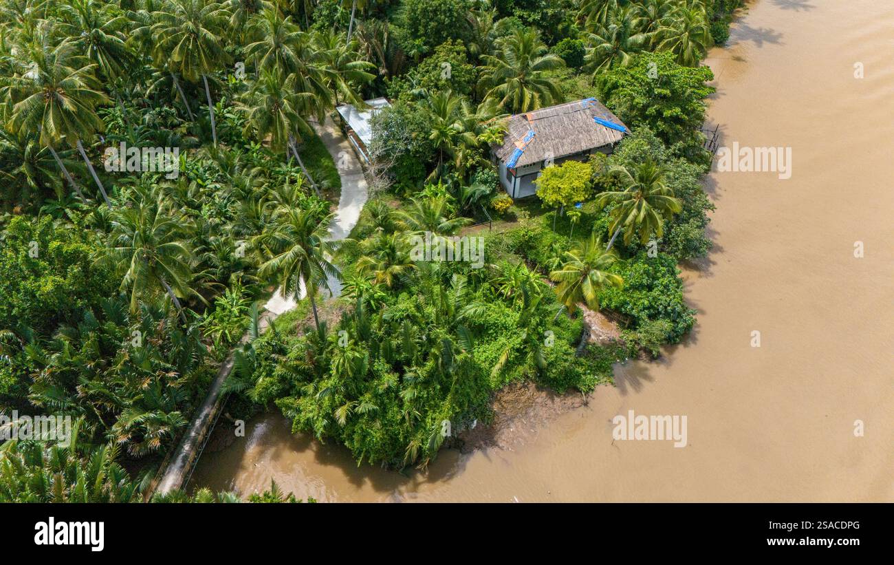 Aerial view of Vietnamese forest on the Mekong Delta, waterway ...