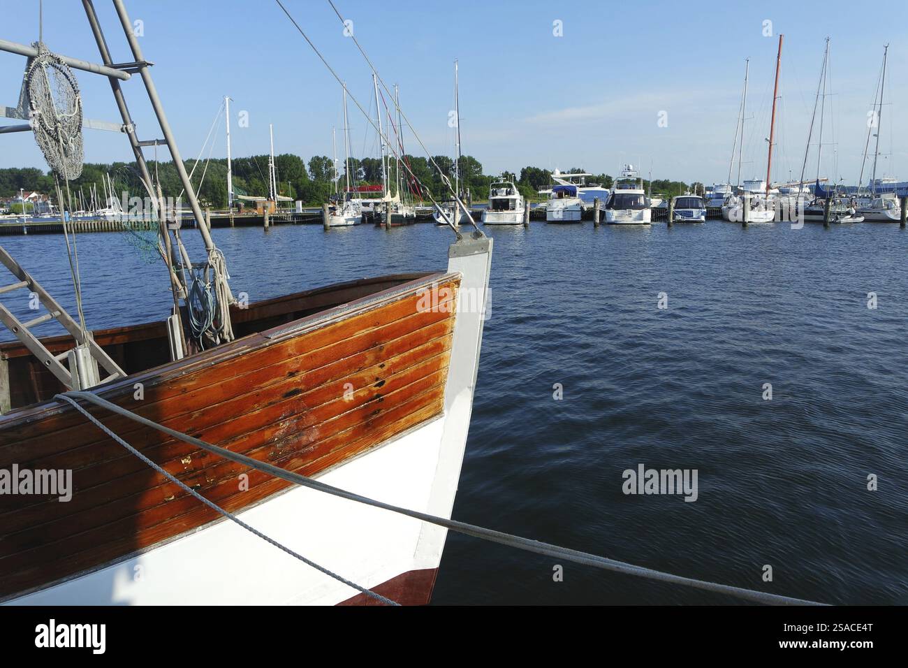 Boat bugs on the water Stock Photo - Alamy